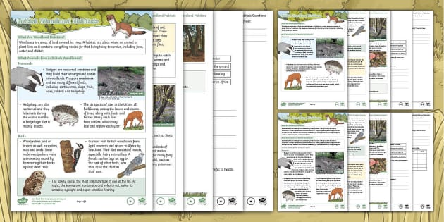 British Woodland Habitats Non-Fiction Reading Comprehension